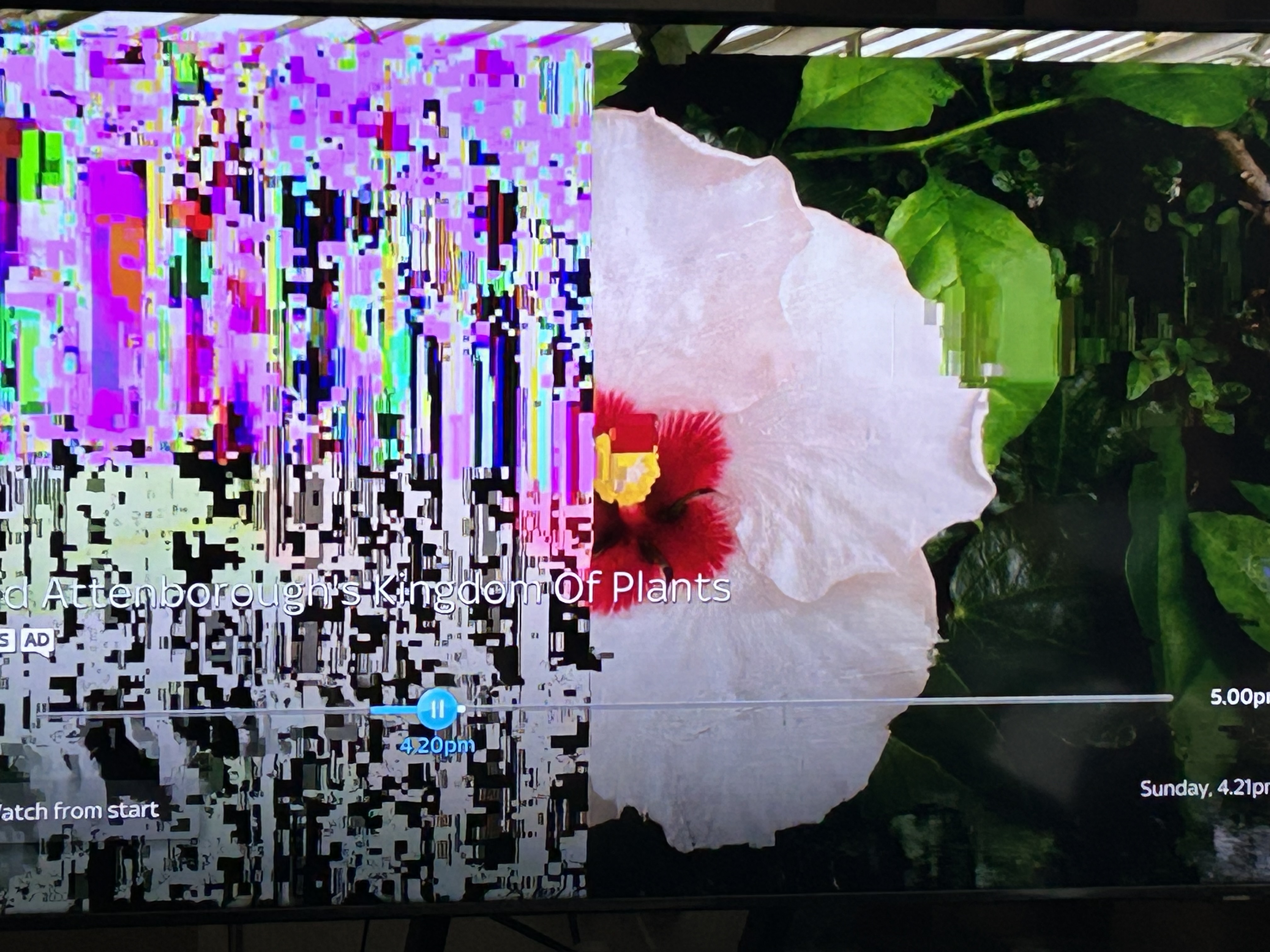 Answered: Picture Intermittently Pixelating - Many Channels - Page 12 ...