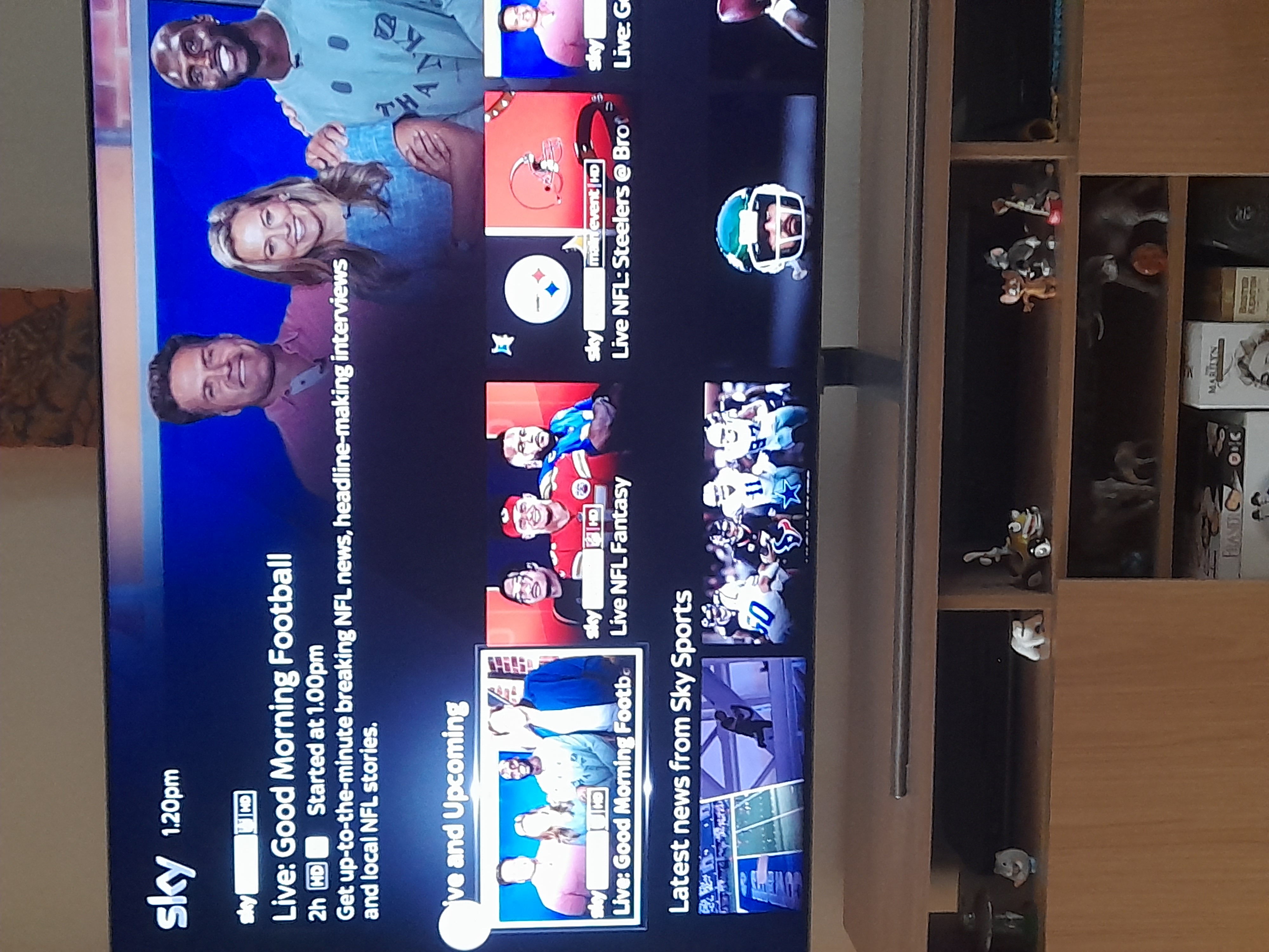 Answered: Voice Control Issue | Sky Community