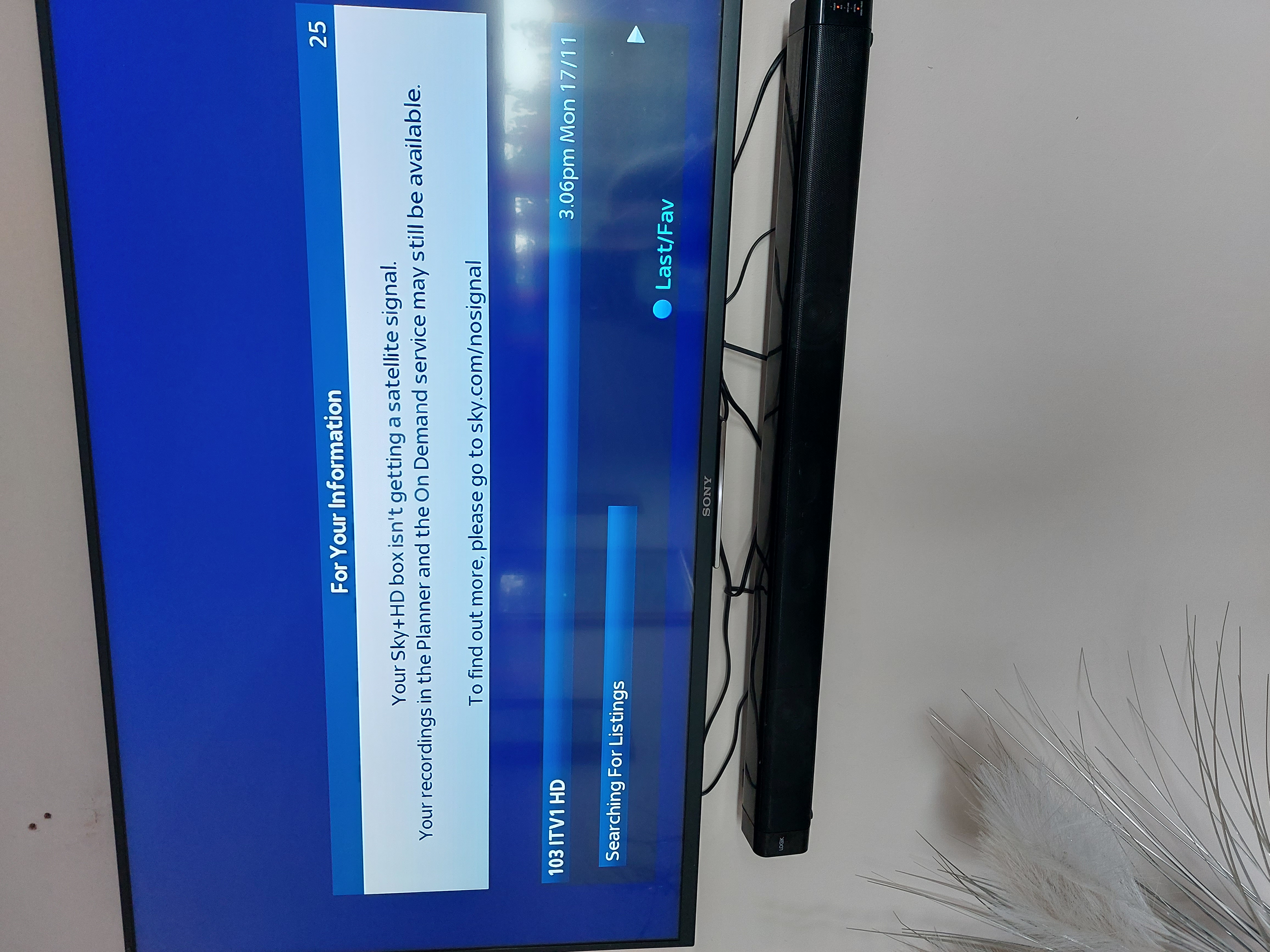 Ms Sarah Clark | Sky Community