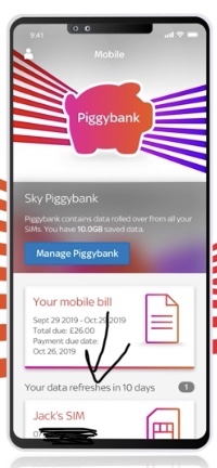 Sky Mobile App Sims Not Sim - Sky Community
