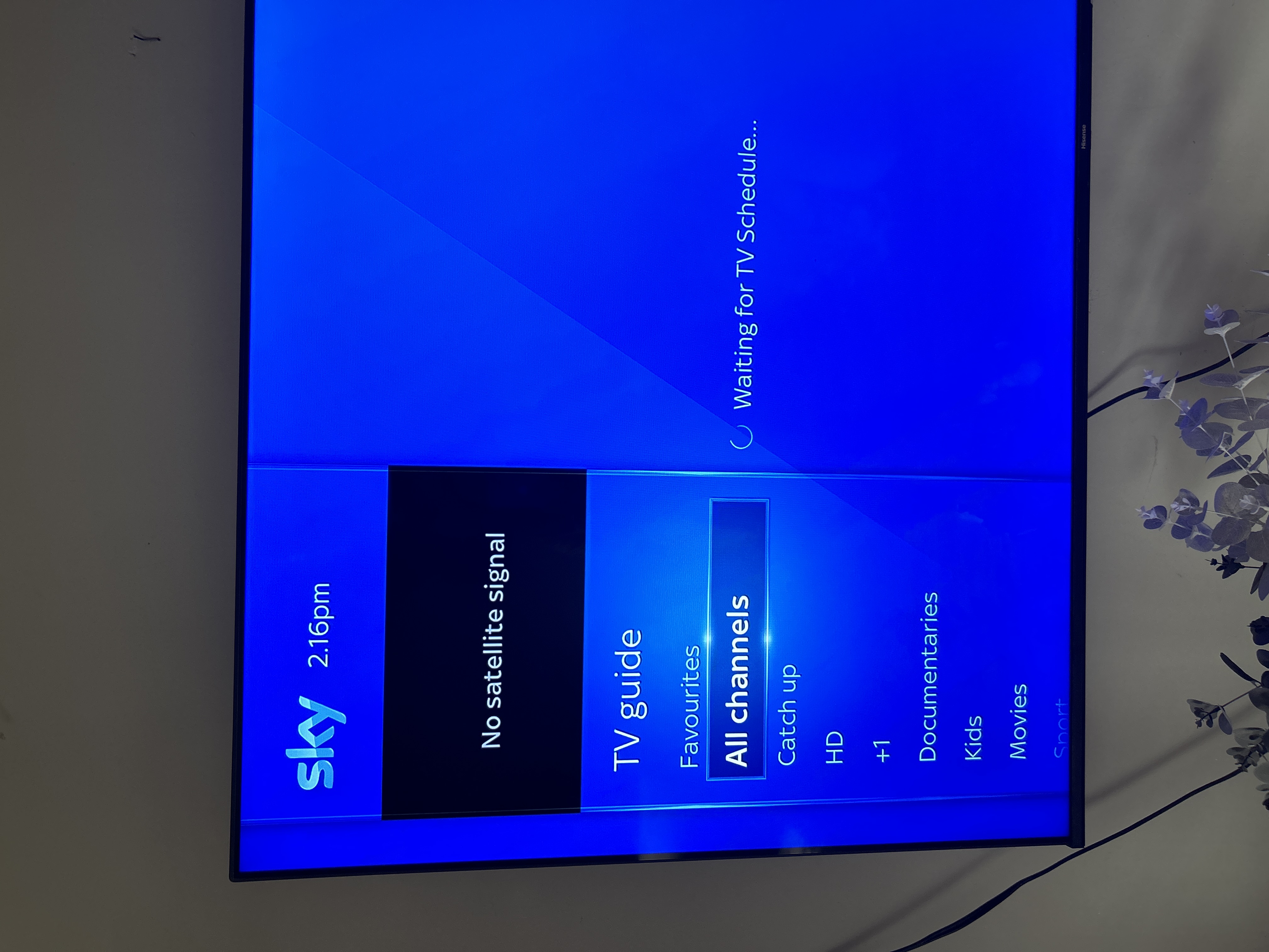 Sky tv isn’t working ,says weak or no signal on th... | Sky Community